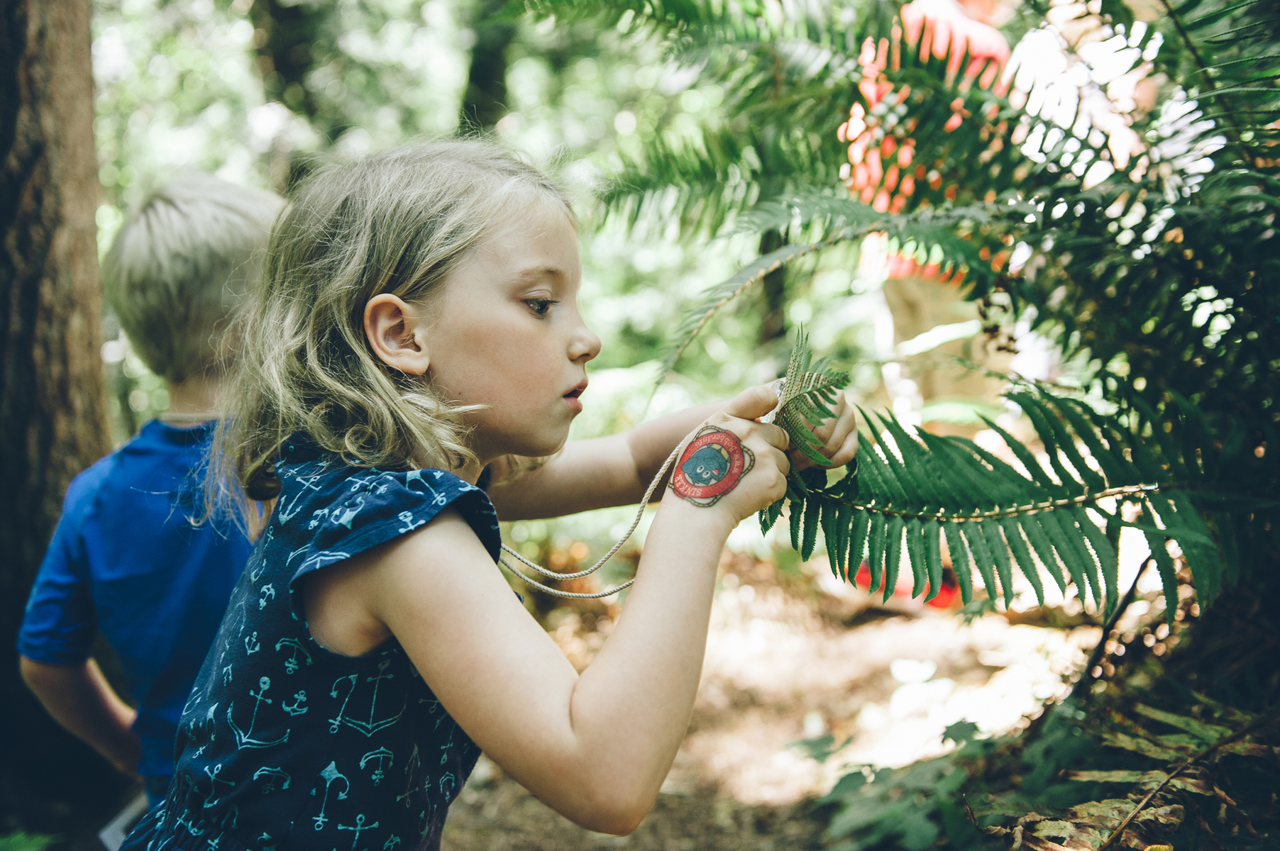 For the Love of Reading: 5 Children's Stories About Creation Care - A Rocha