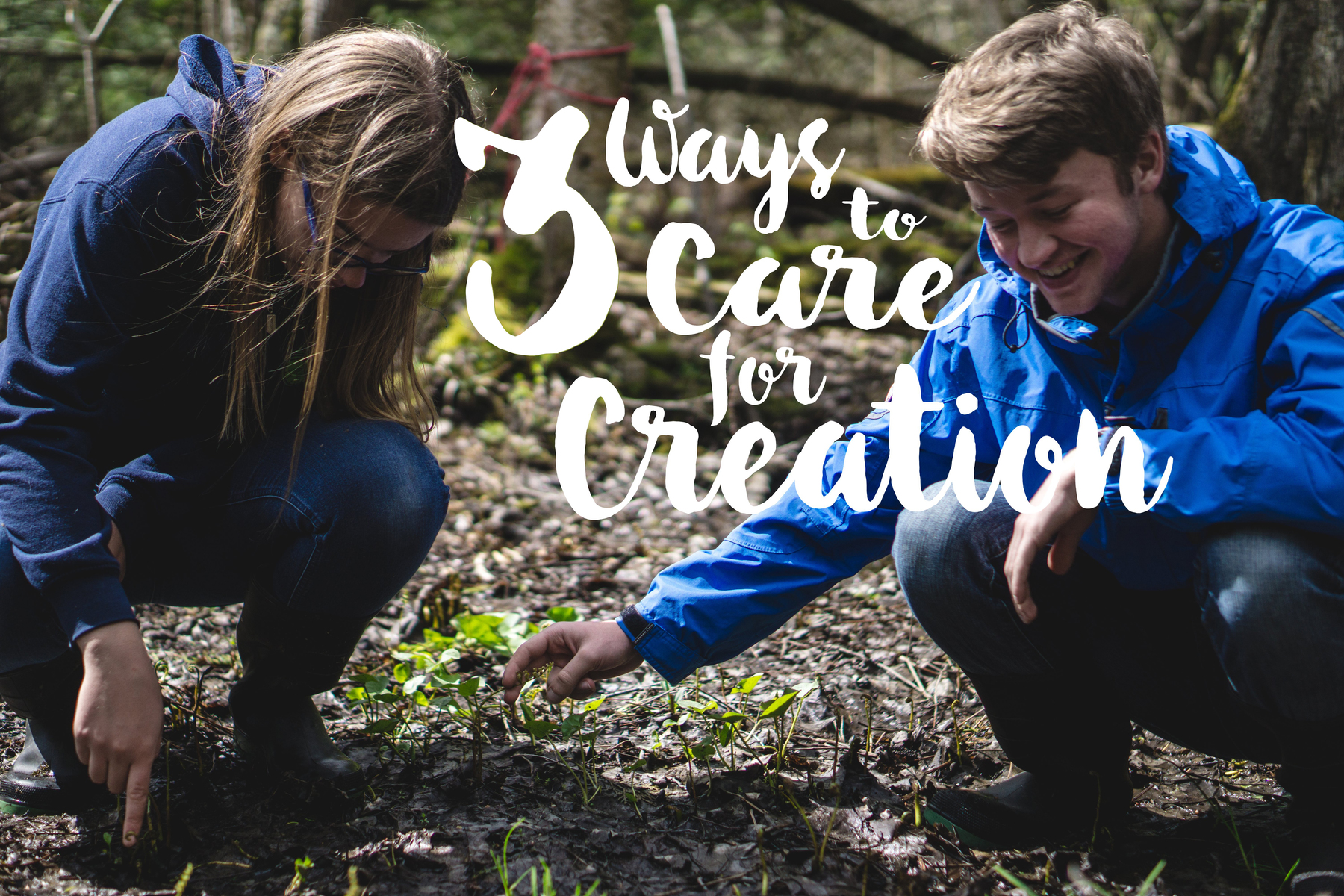 3 Ways You Can Care for Creation - A Rocha