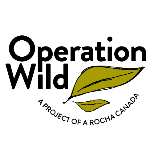 Operation Wild Final Report - A Rocha