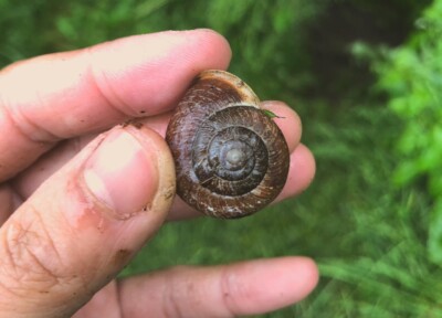 Tatalu Conservation Residency - A Rocha