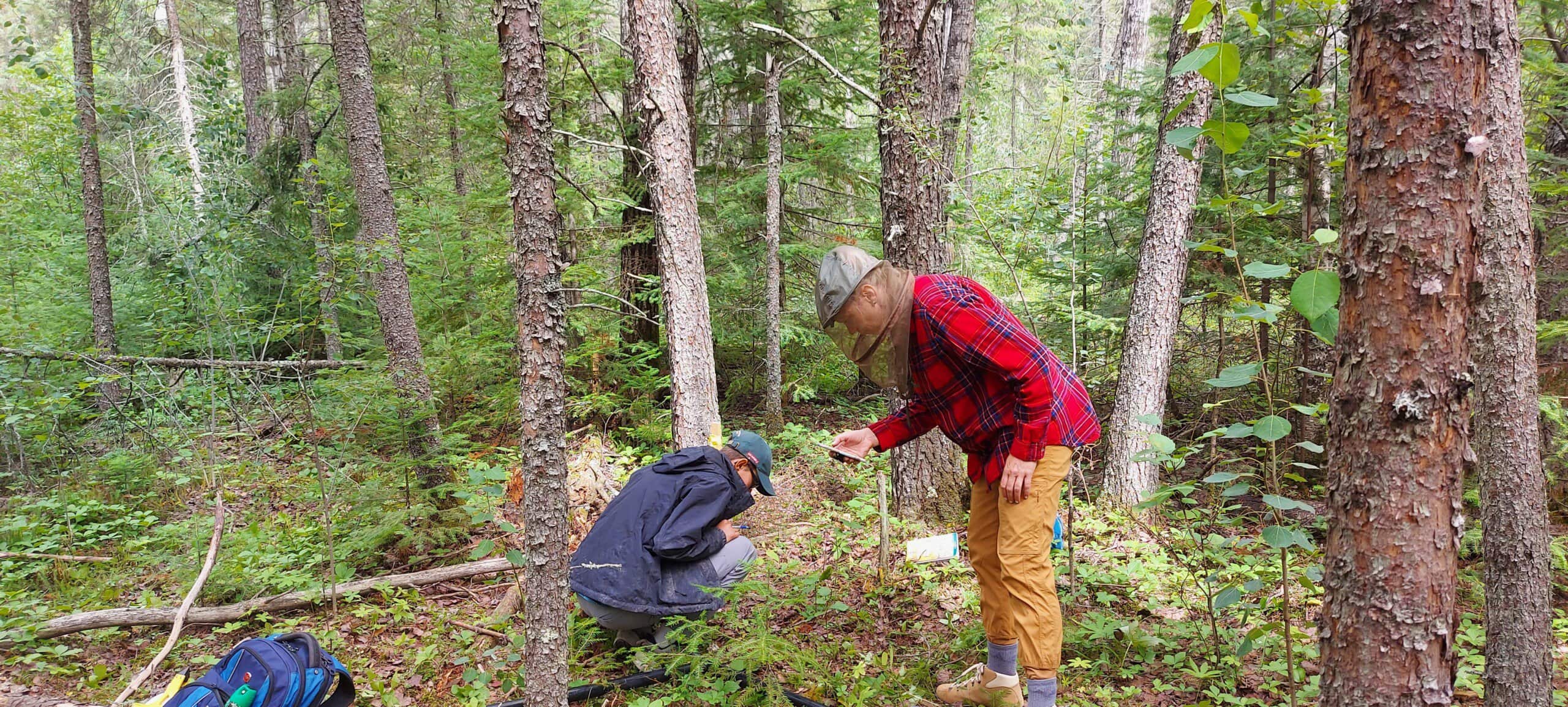 Conservation Saturday (Boreal Ecology Centre, MB) - A Rocha