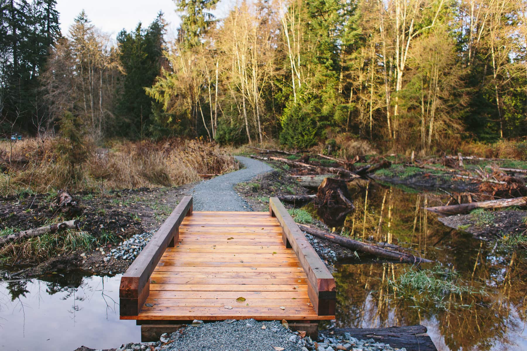 A Rocha Canada - A Rocha